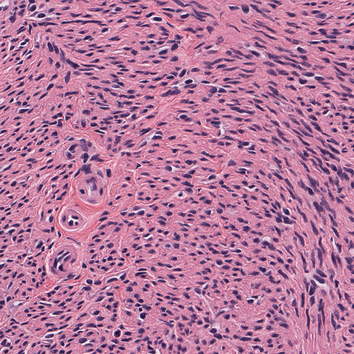 Konstantin Hemker: Home